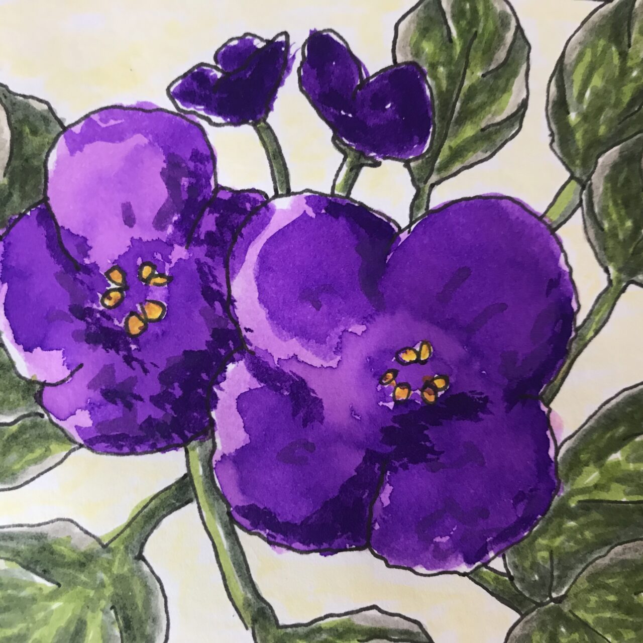 Sketchbook African Violet Ink Wash - Alison Hazel Art