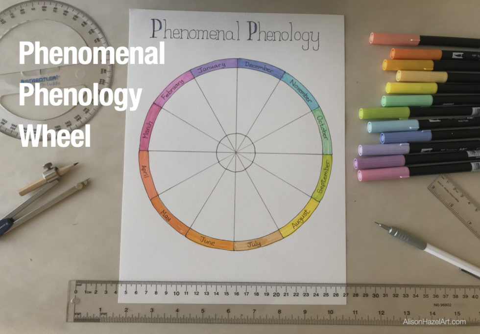 Phenomenal Phenology Wheel - Alison Hazel Art